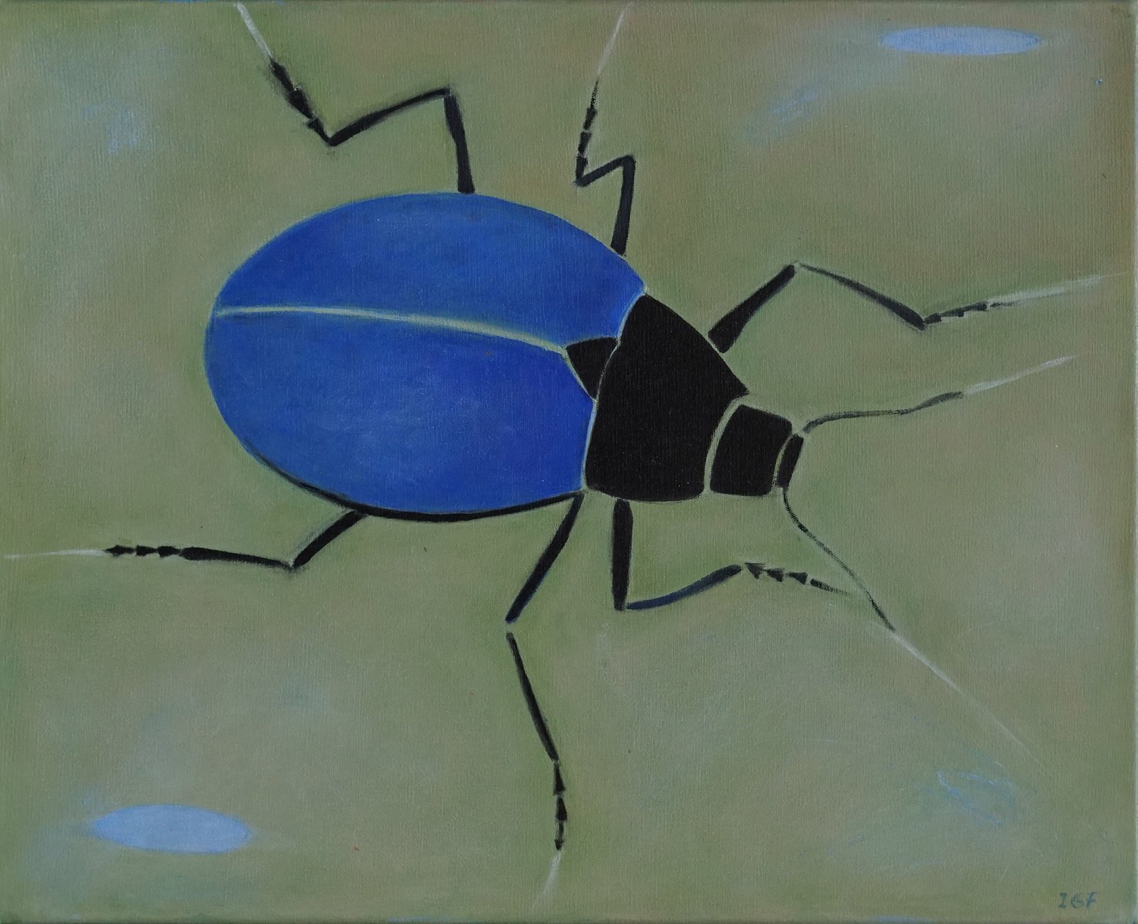 Serie ANIMAL: Insecto - GALERÍA VERMEER