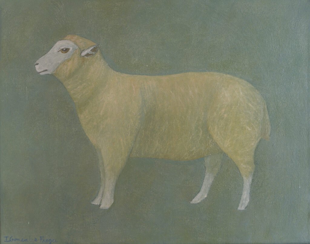 Serie ANIMAL: Oveja - GALERÍA VERMEER